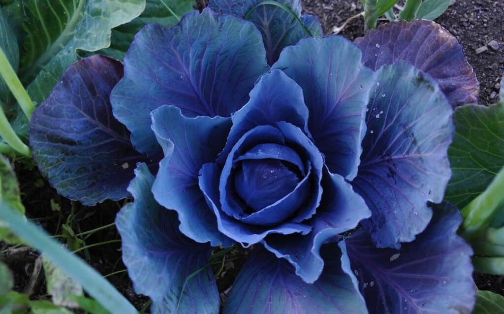 Home - Eros Platform